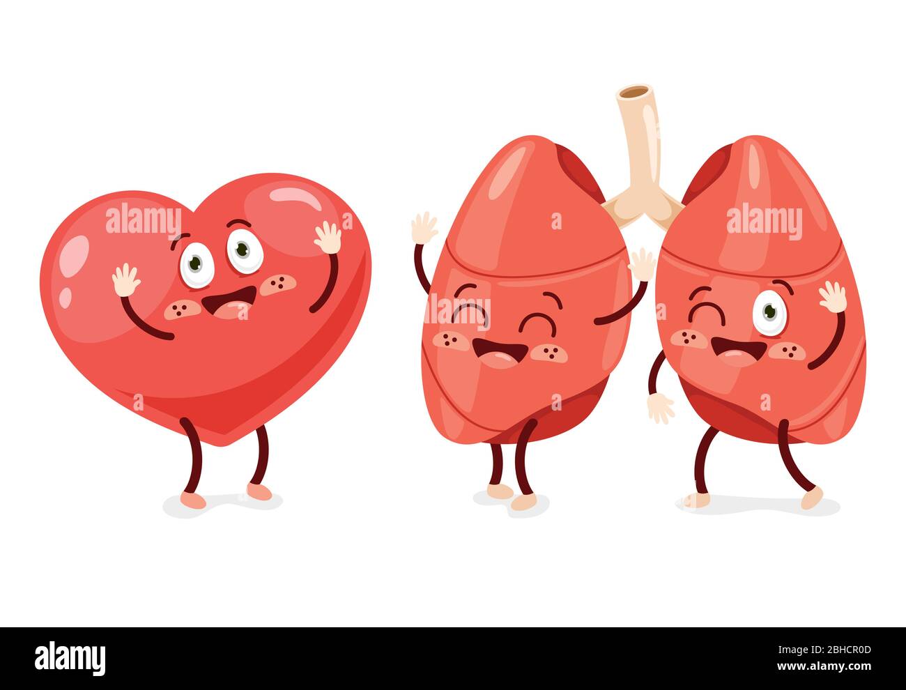 Cartoon Concept Of Human Organ Stock Vector Image & Art - Alamy