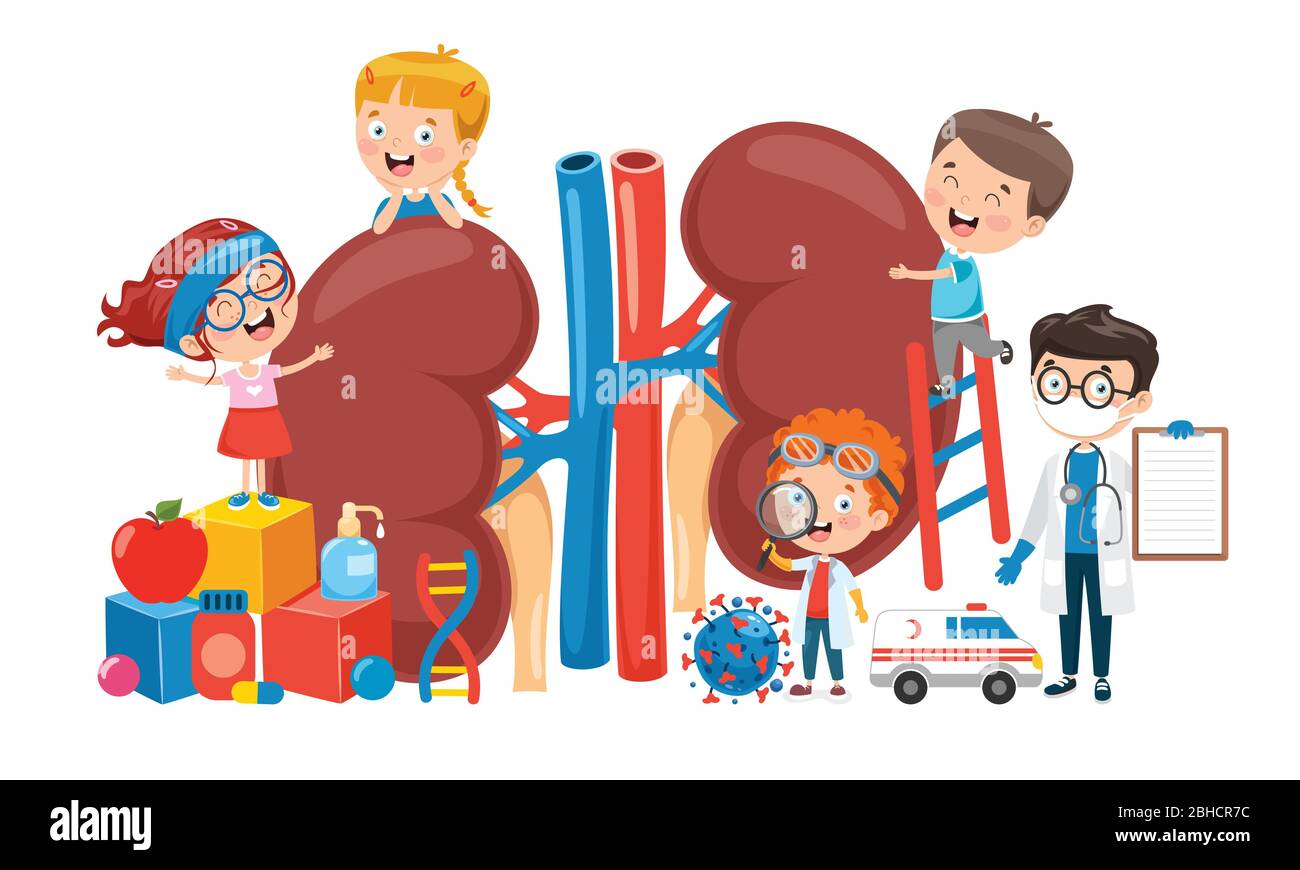 Cartoon Concept Of Human Organs Stock Vector Image & Art - Alamy