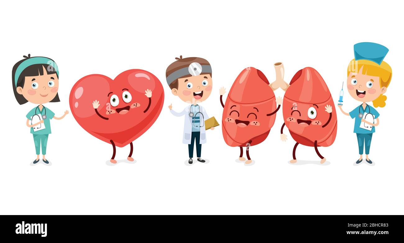 Cartoon Concept Of Human Organs Stock Vector Image & Art - Alamy