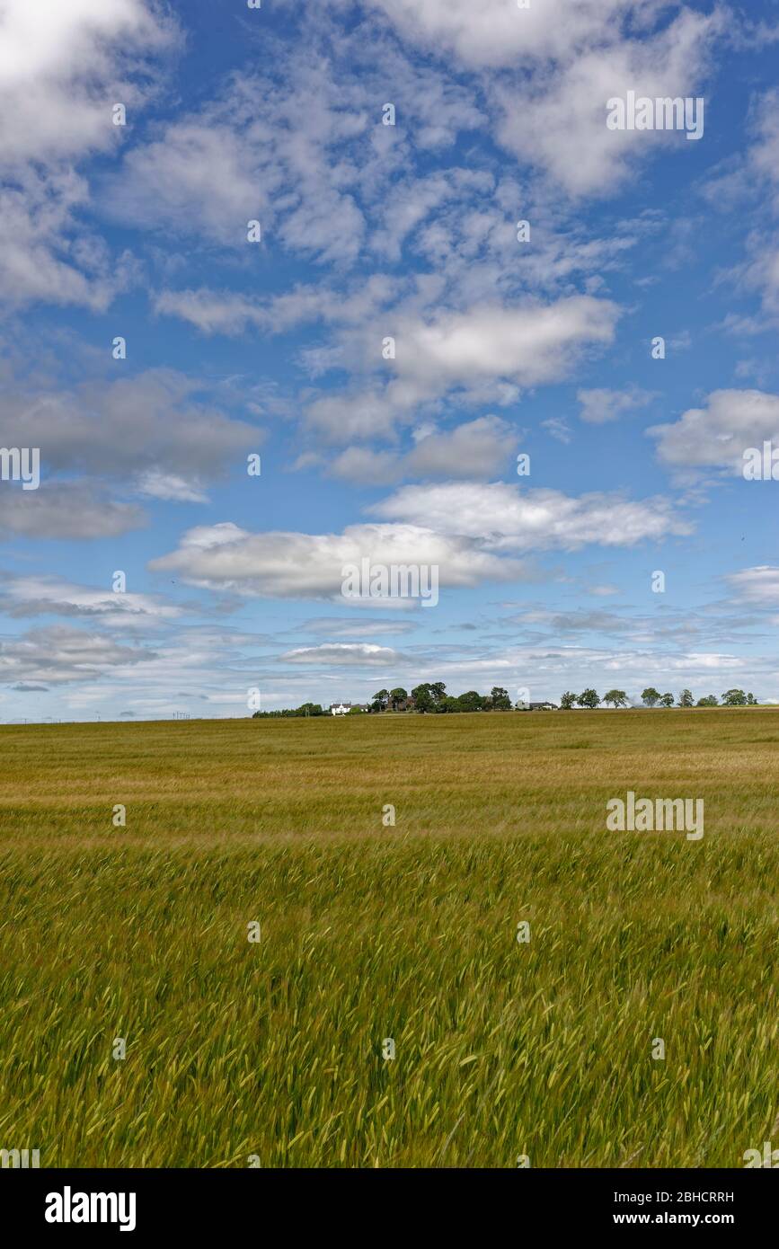 Panbride parish church hi-res stock photography and images - Alamy