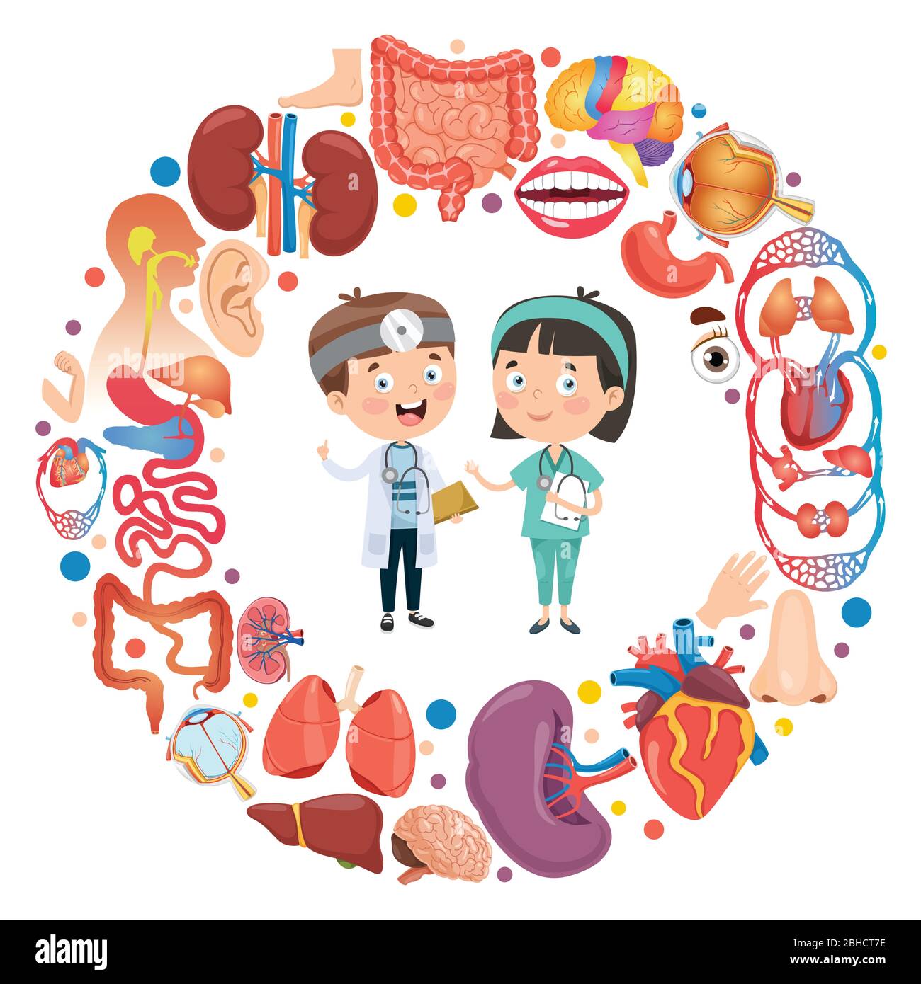 Cartoon Concept Of Human Organs Stock Vector Image & Art - Alamy