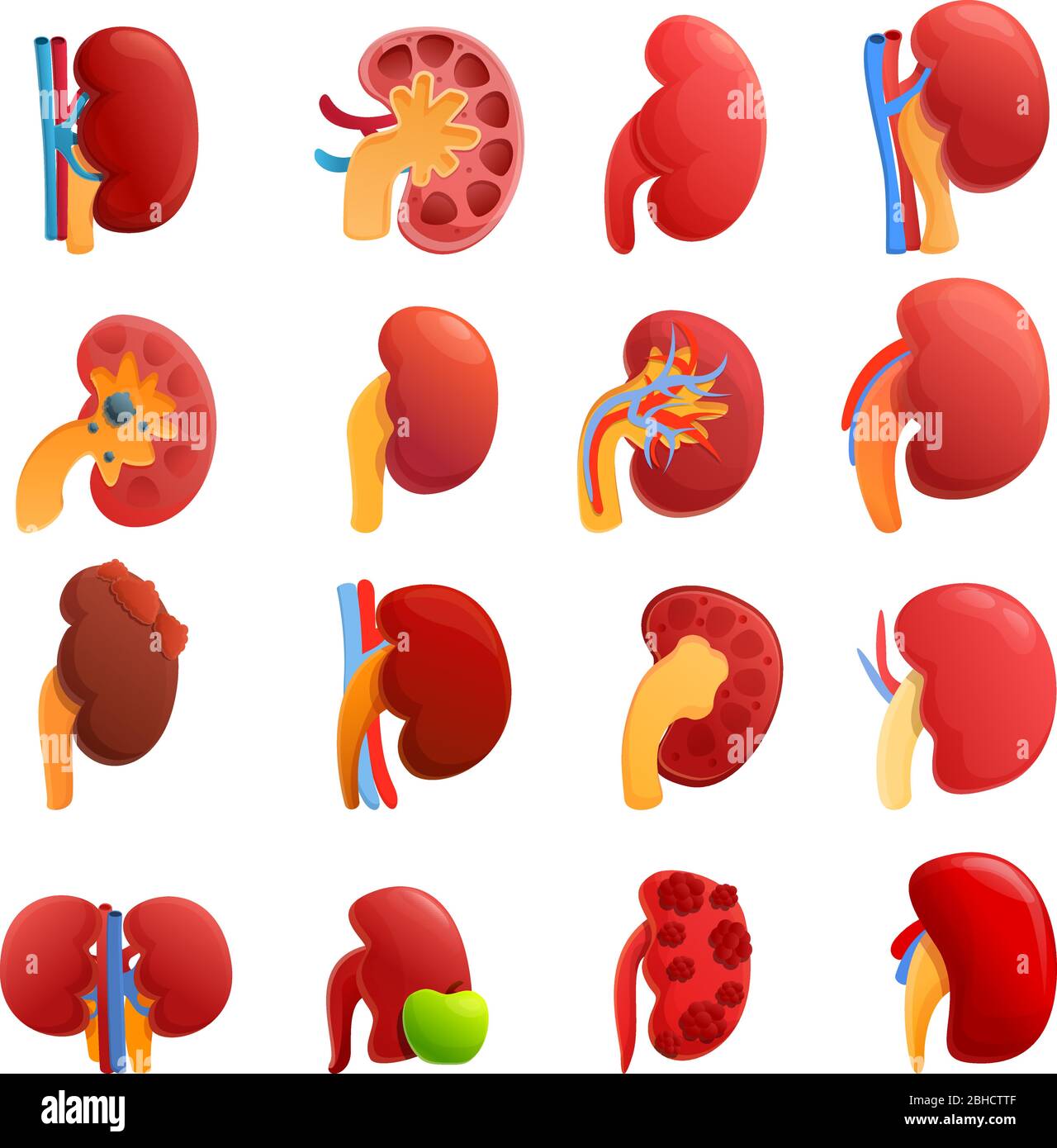 Kidney icons set. Cartoon set of kidney vector icons for web design ...