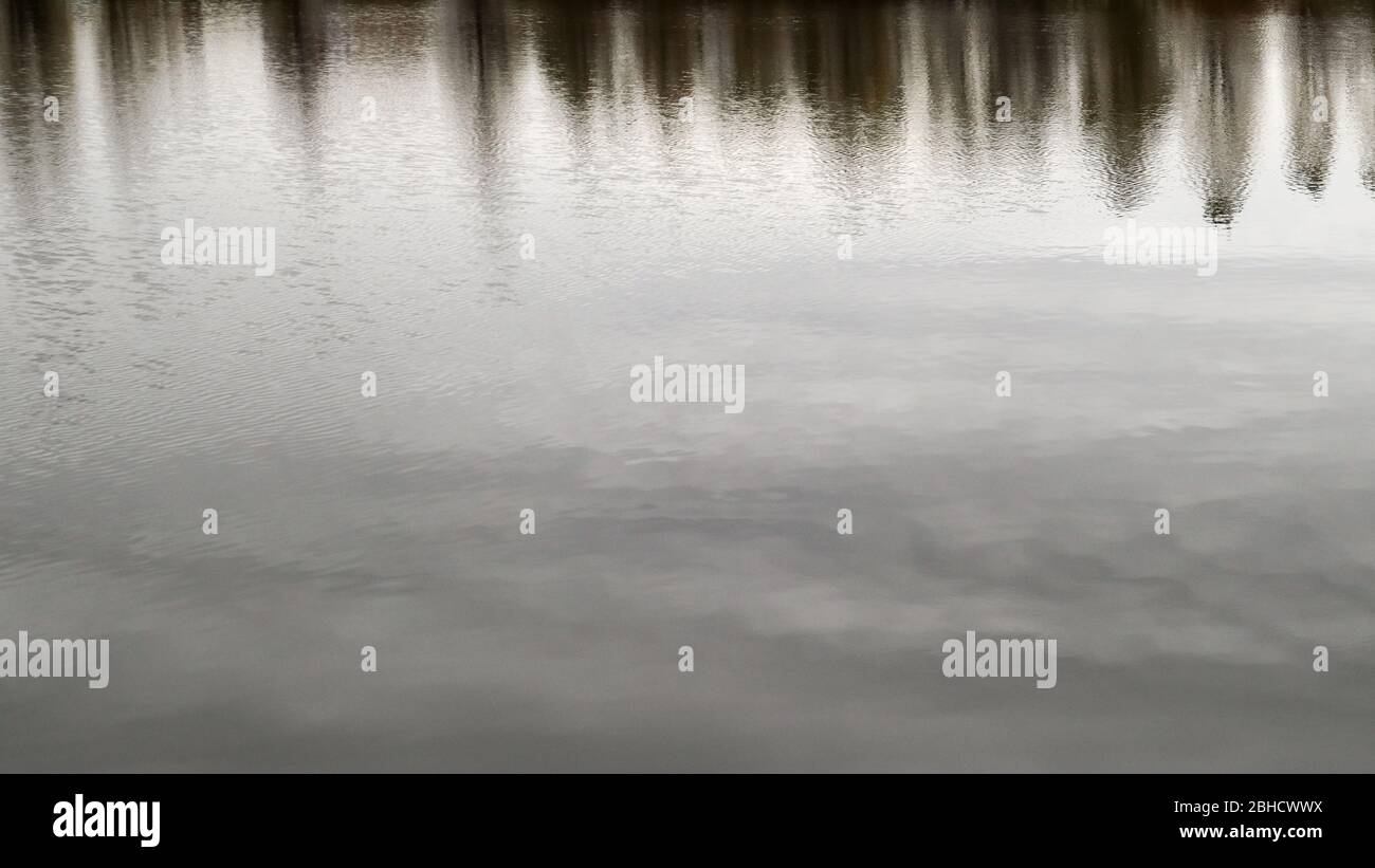 Water in the pond is slowly covered with ice due to low temperatures ...