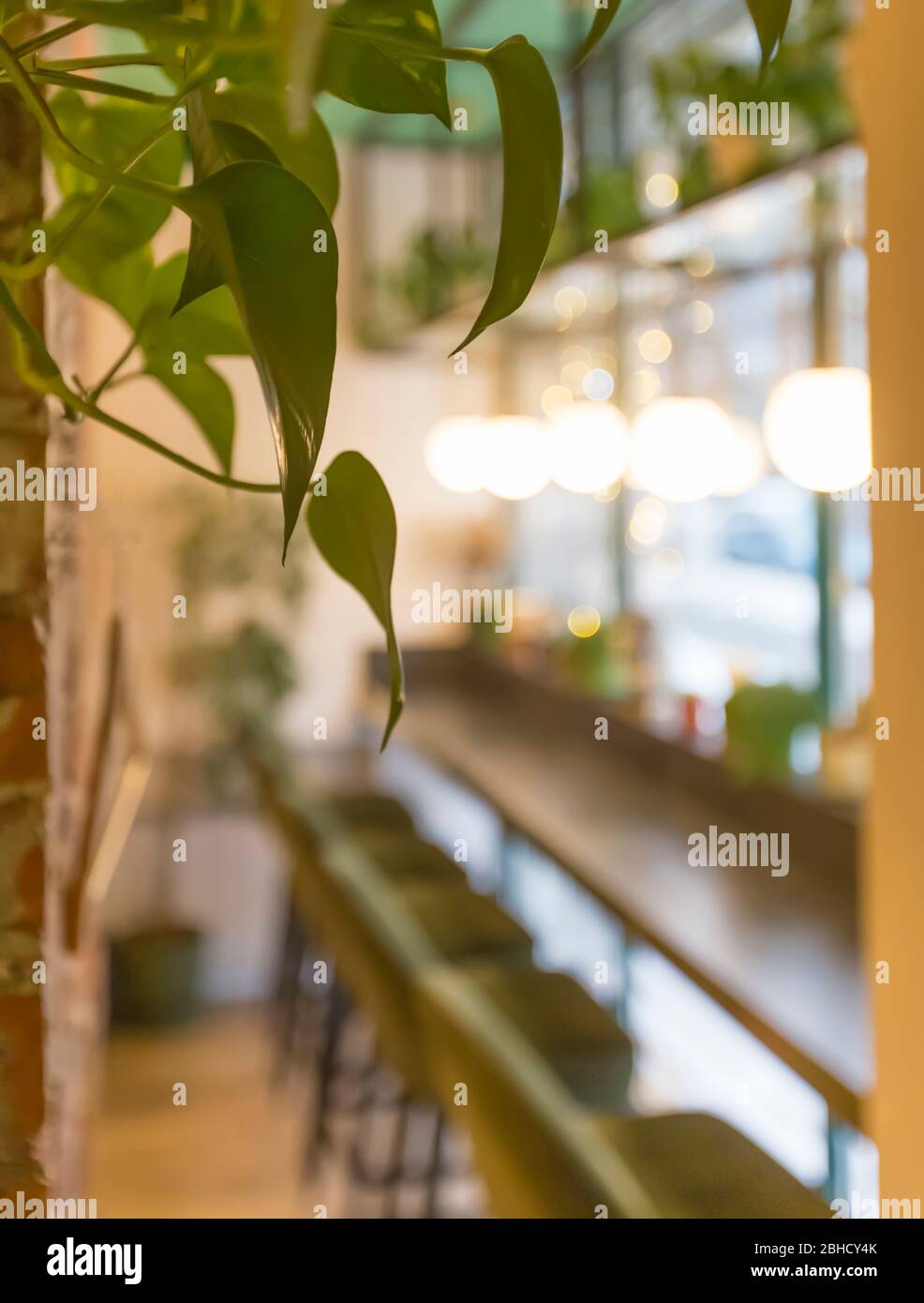 Abstract green background trendy business hi-res stock photography and ...