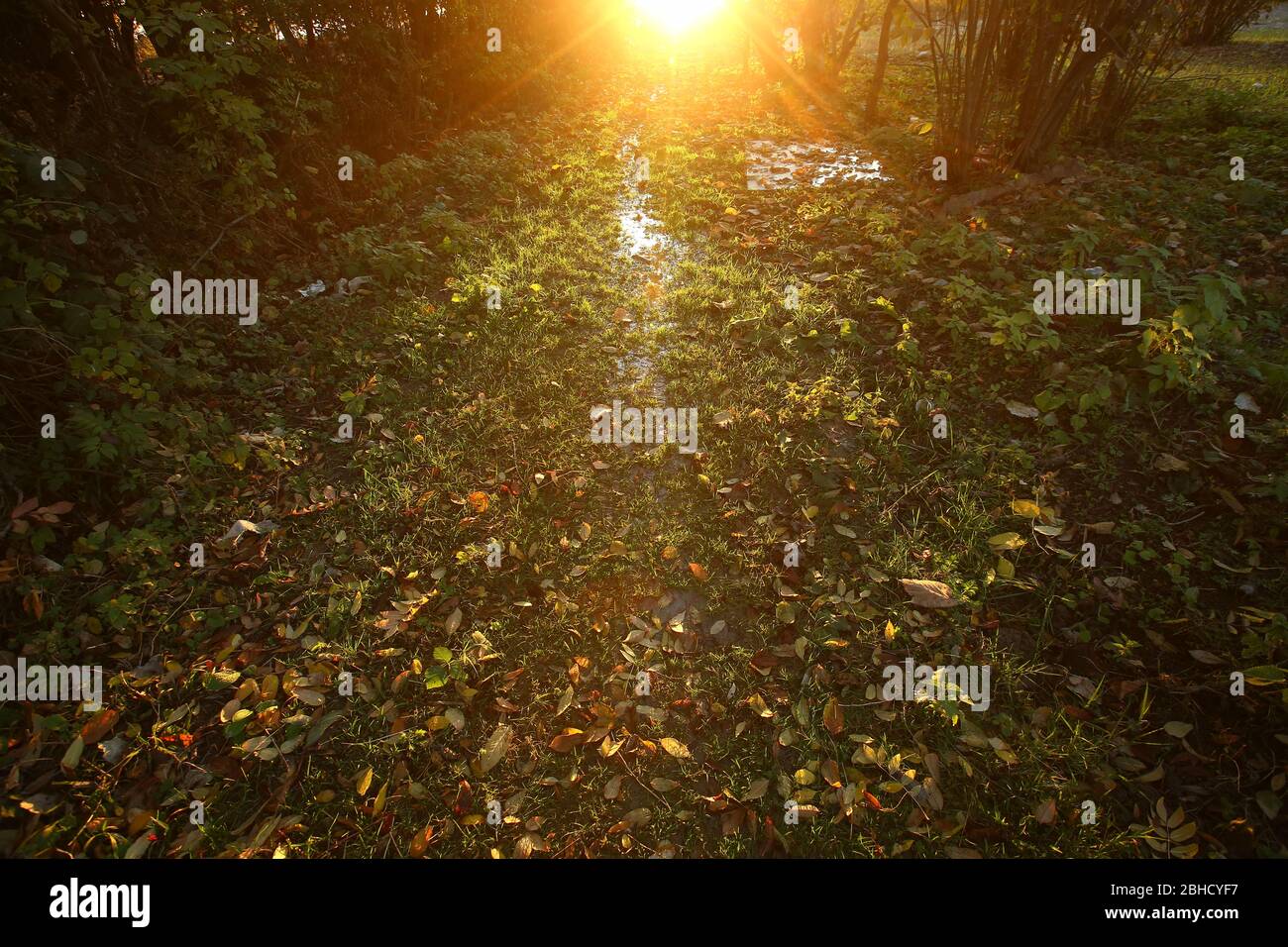 The sun is setting and dawn is breaking. Water flows through the grass ...