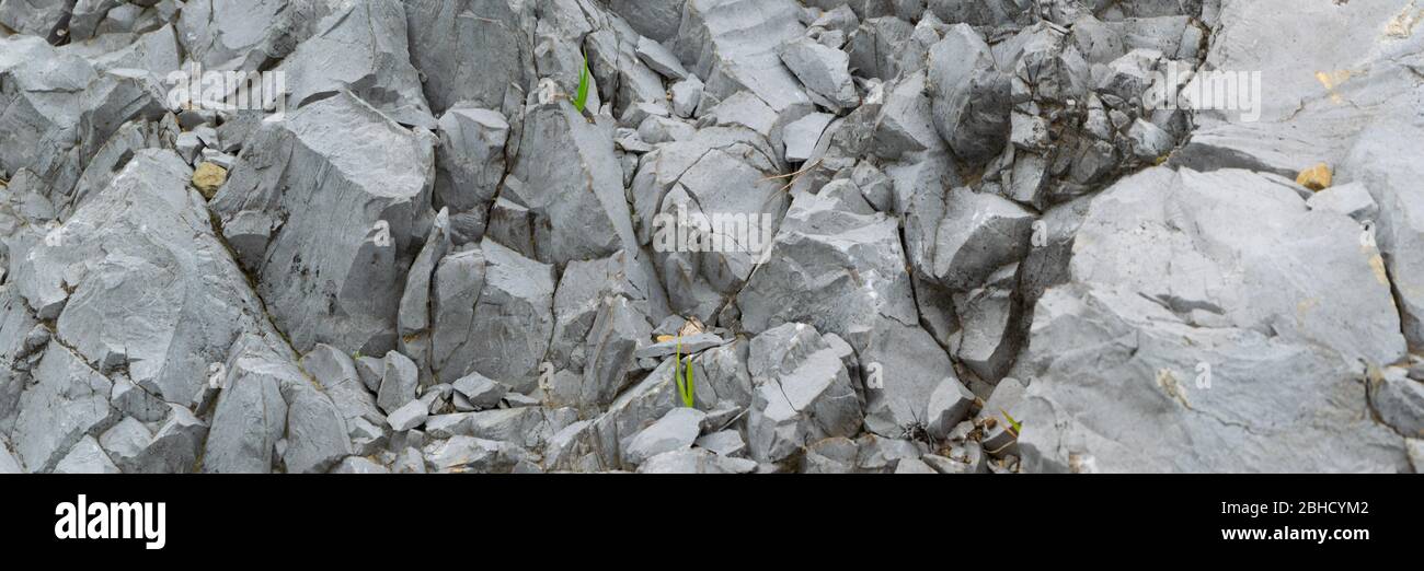Detail of natural rough stone, rippled rock background Stock Photo - Alamy
