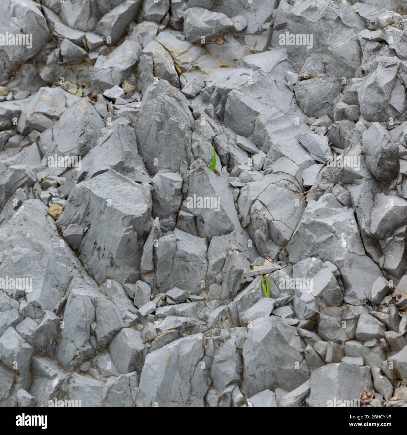 Rippled sedimentary hi-res stock photography and images - Alamy