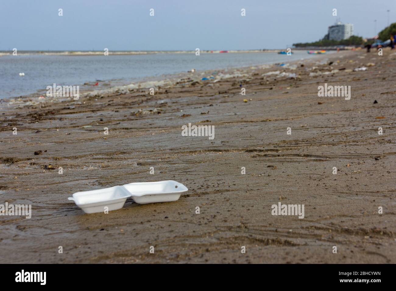 Plastic pollution environmental problem in ocean ,Enviromental ...