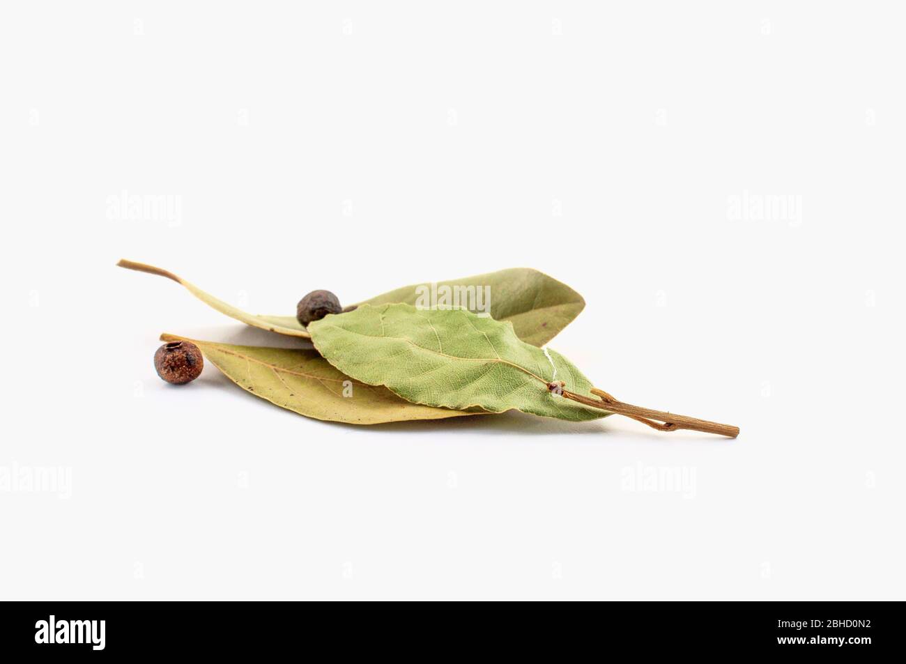Bay leaves and bay berries on white background. Used for cooking with ...