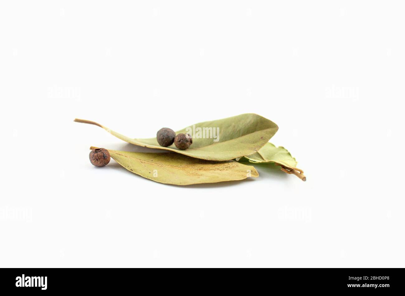 Bay leaves and bay berries on white background. Used for cooking with ...