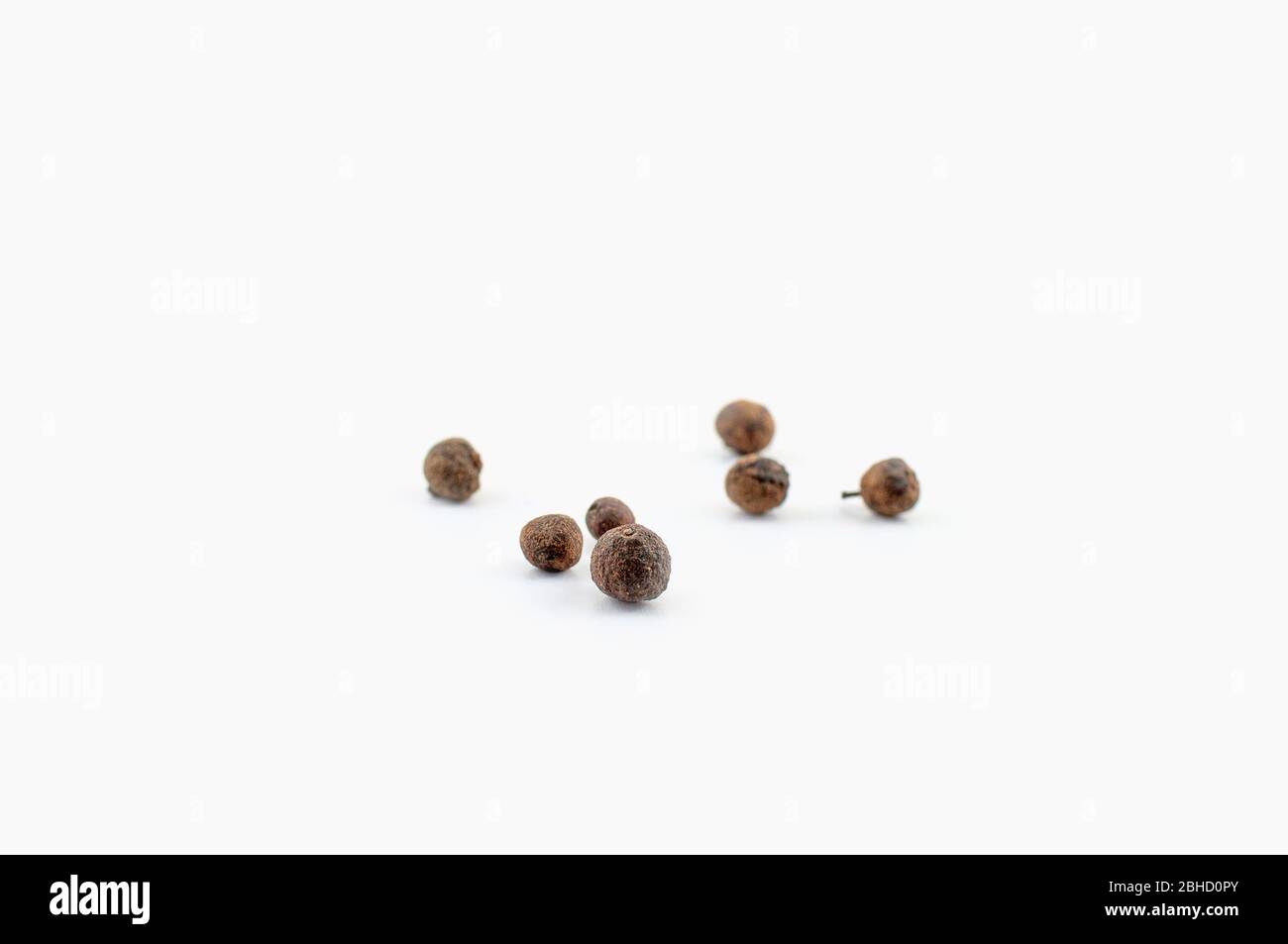 Bay leaves and bay berries on white background. Used for cooking with ...