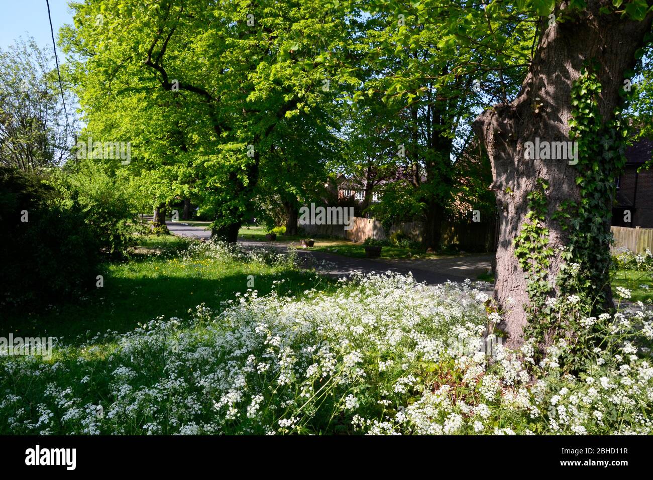 Most beautiful front garden uk hi-res stock photography and images - Alamy