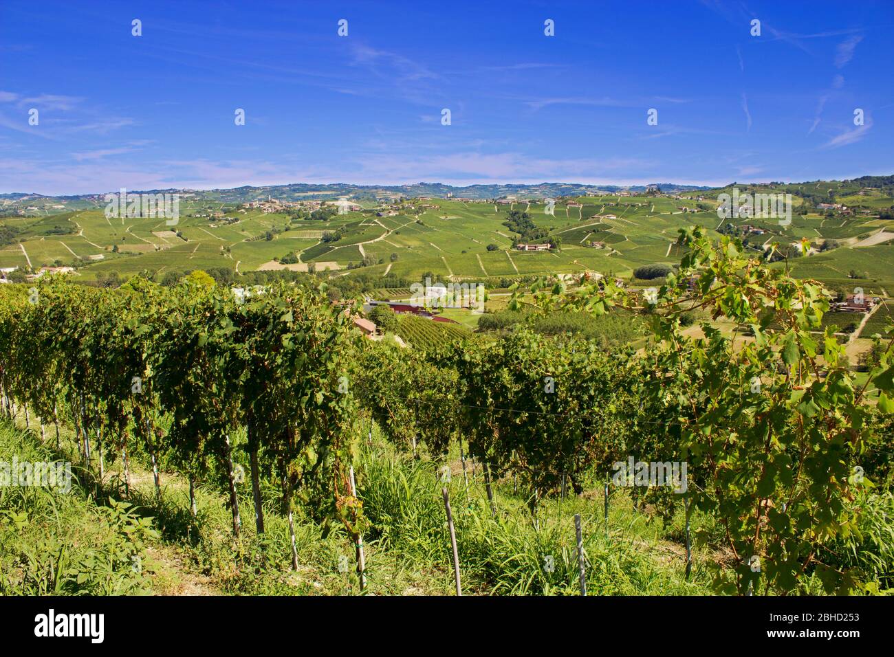 Countryside of Barolo, famous wine production city of Langhe, Piedmont ...