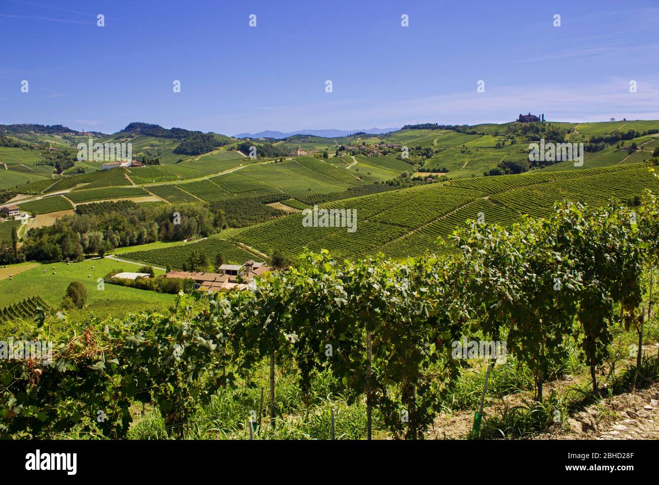 Countryside of Barolo, famous wine production city of Langhe, Piedmont ...