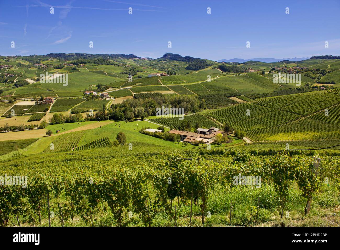 Countryside of Barolo, famous wine production city of Langhe, Piedmont ...