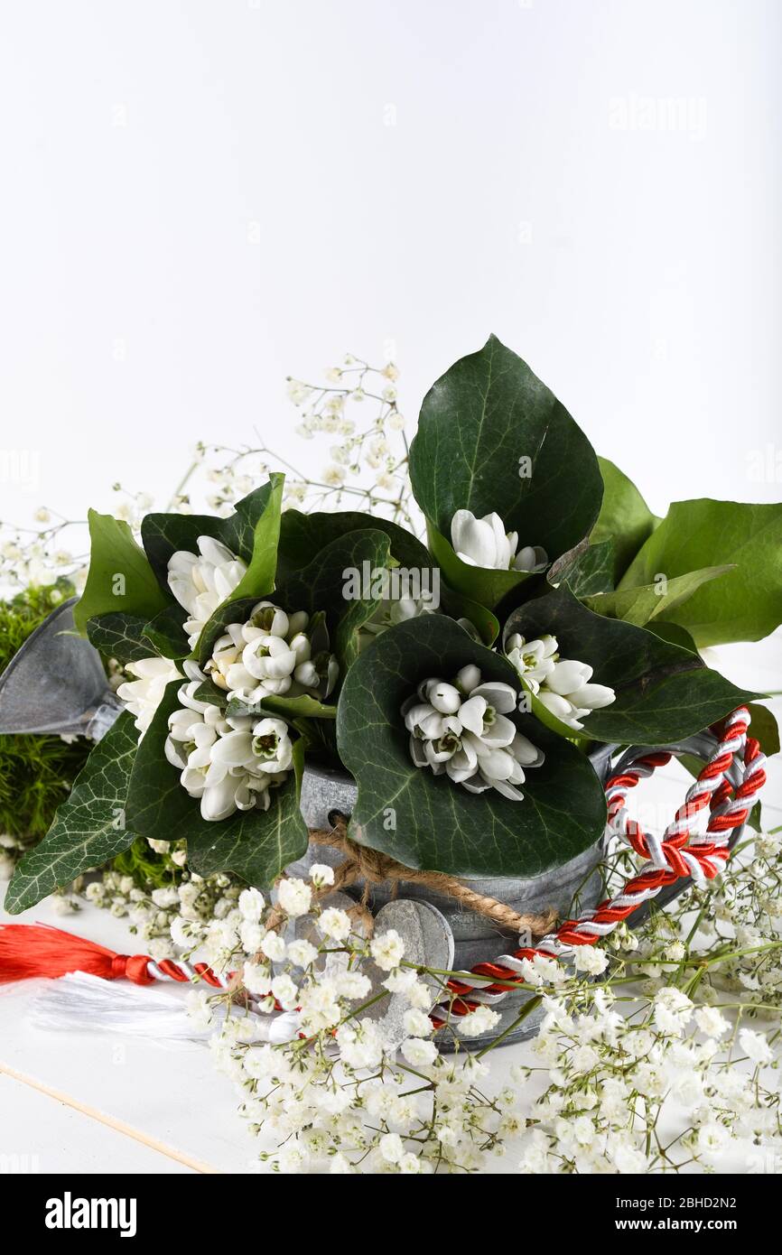 Spring time flowers like snowdrops, isolated on colorful simple flay ...