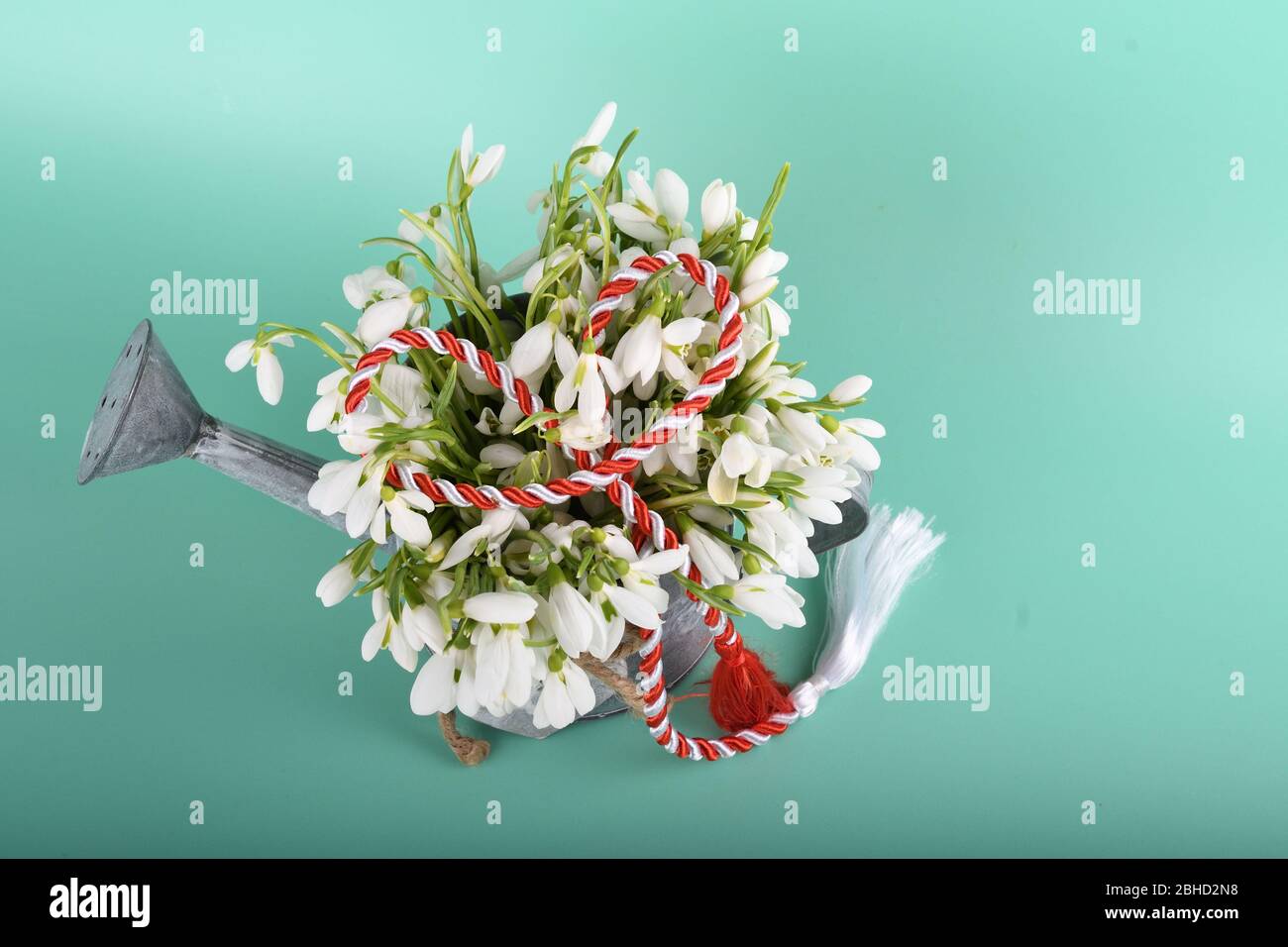 Spring time flowers like snowdrops, isolated on colorful simple flay ...