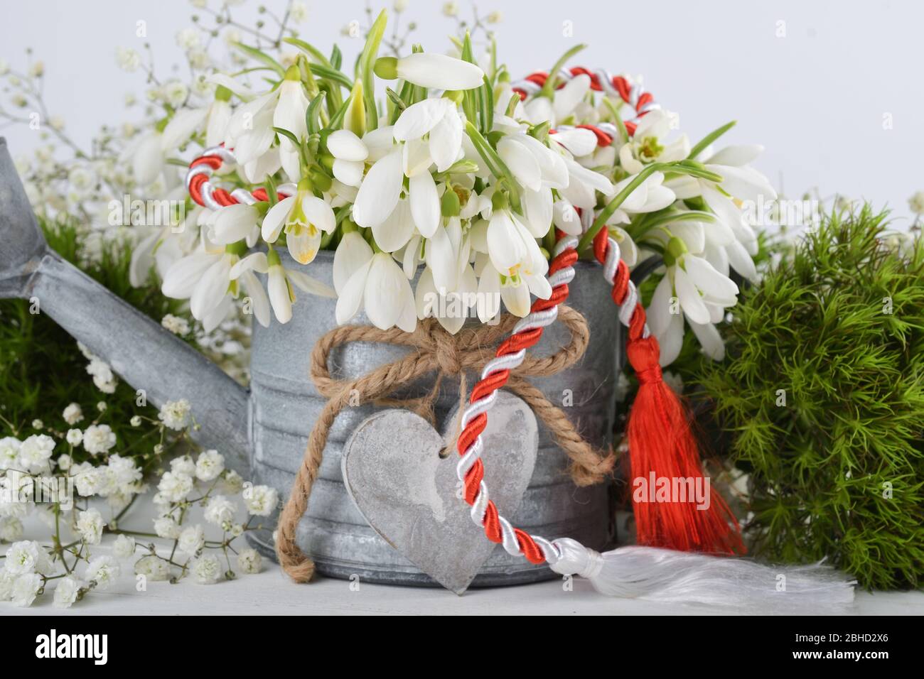 Spring time flowers like snowdrops, isolated on colorful simple flay ...