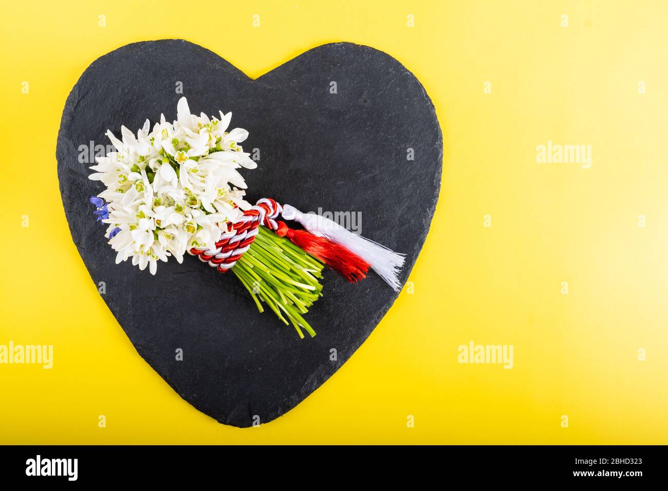 Spring time flowers like snowdrops, hyacinth and roses, isolated on ...