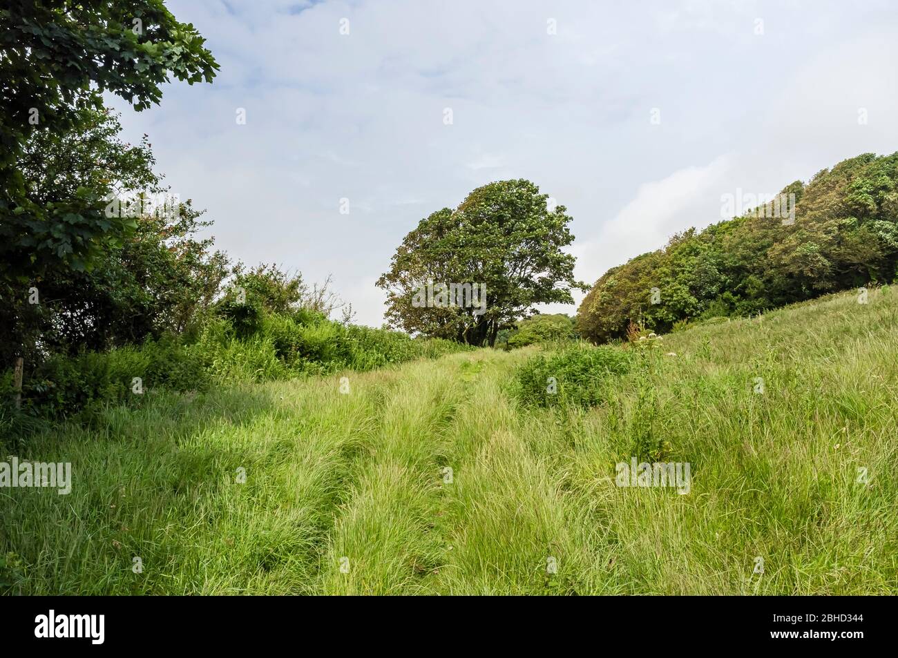 Circular Walk between Torcross and Beesands after leaving Widdicombe ...