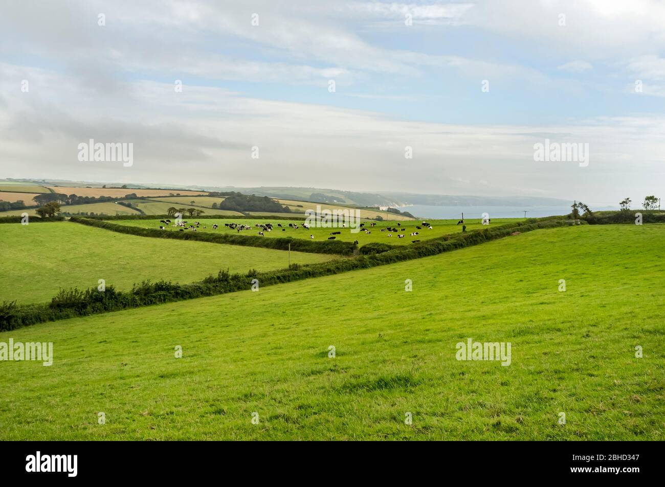 View towards Slapton Sands and Start Bay from circular Walk between ...