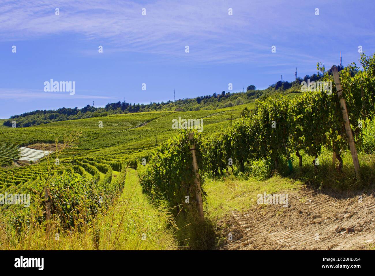 Countryside of Barolo, famous wine production city of Langhe, Piedmont ...