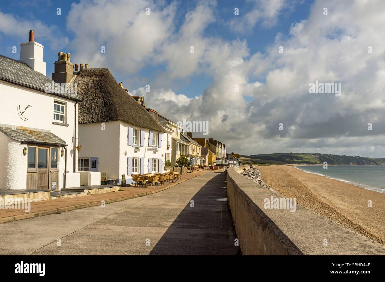 Start bay devon hi-res stock photography and images - Alamy