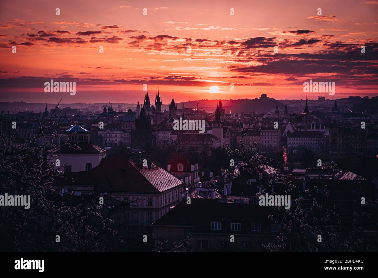 Prague is the capital and largest city in the Czech Republic, the 13th ...