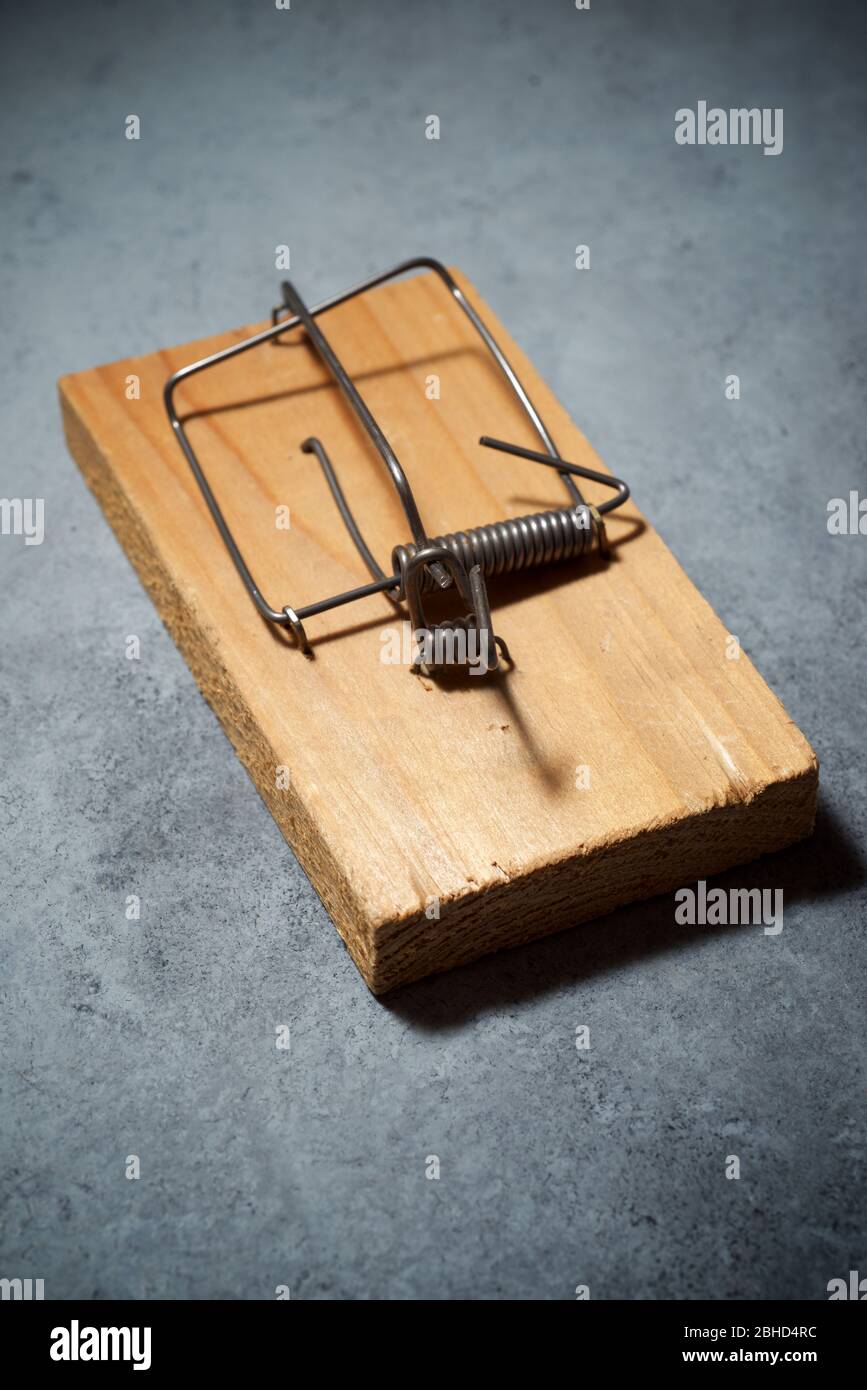 Mouse trap on a stone table Stock Photo - Alamy