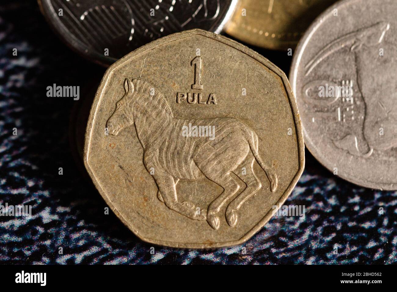 Botswana Pula currency Stock Photo - Alamy