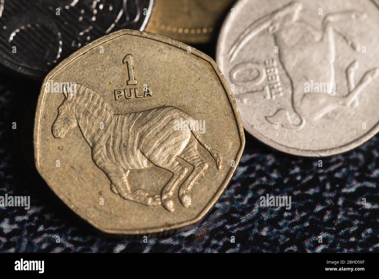 Botswana Pula currency Stock Photo - Alamy