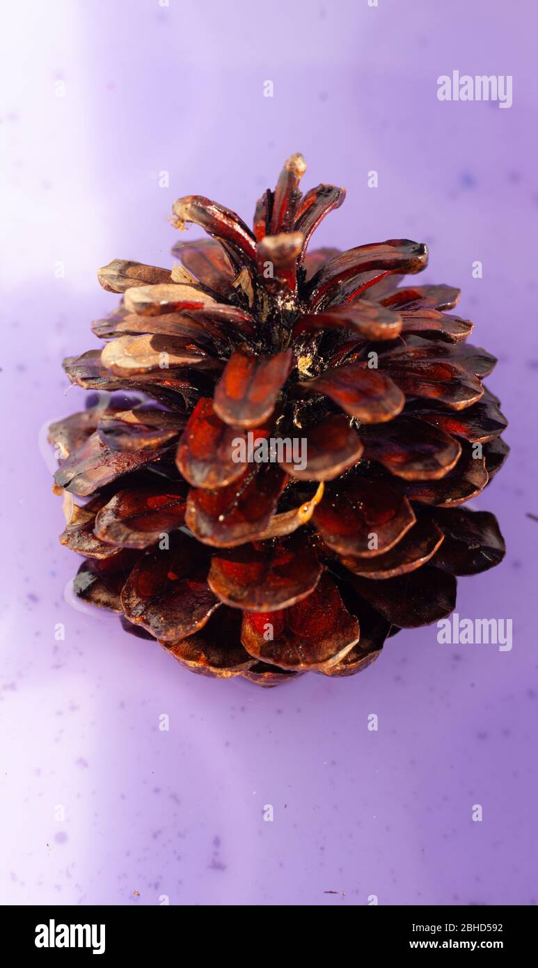 Archetypes of art hi-res stock photography and images - Alamy