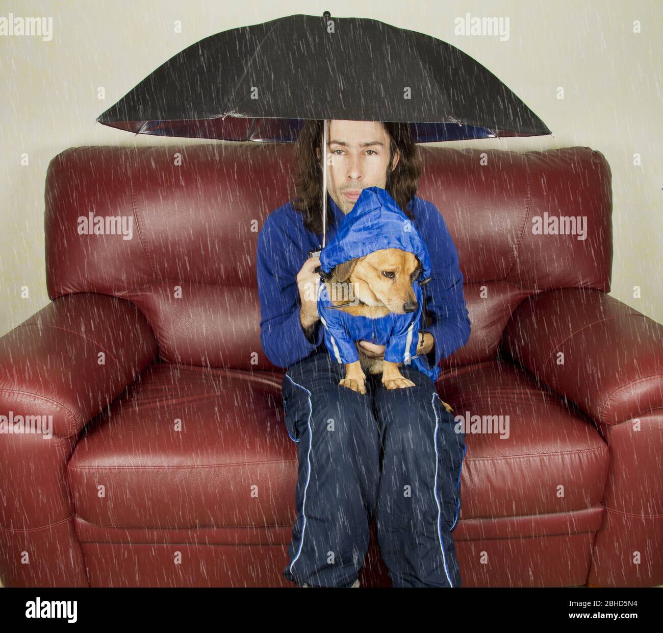 Cartoon dog vector hi-res stock photography and images - Alamy