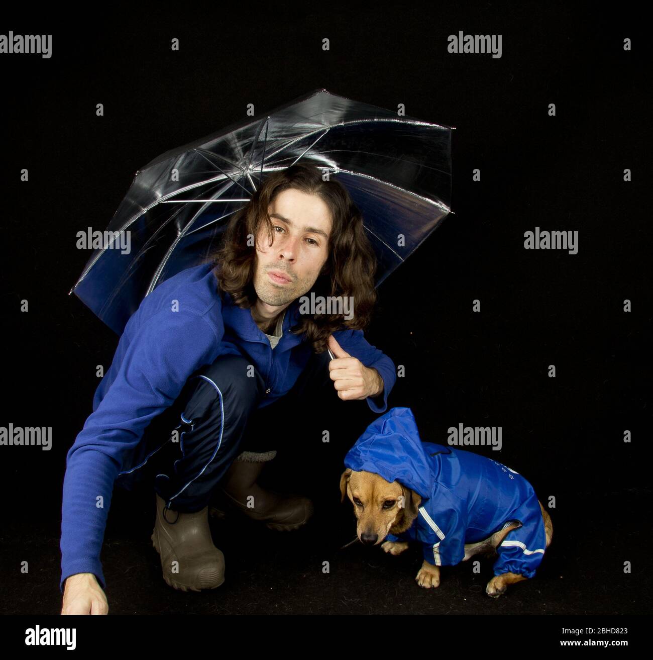 Cartoon dog vector hi-res stock photography and images - Alamy