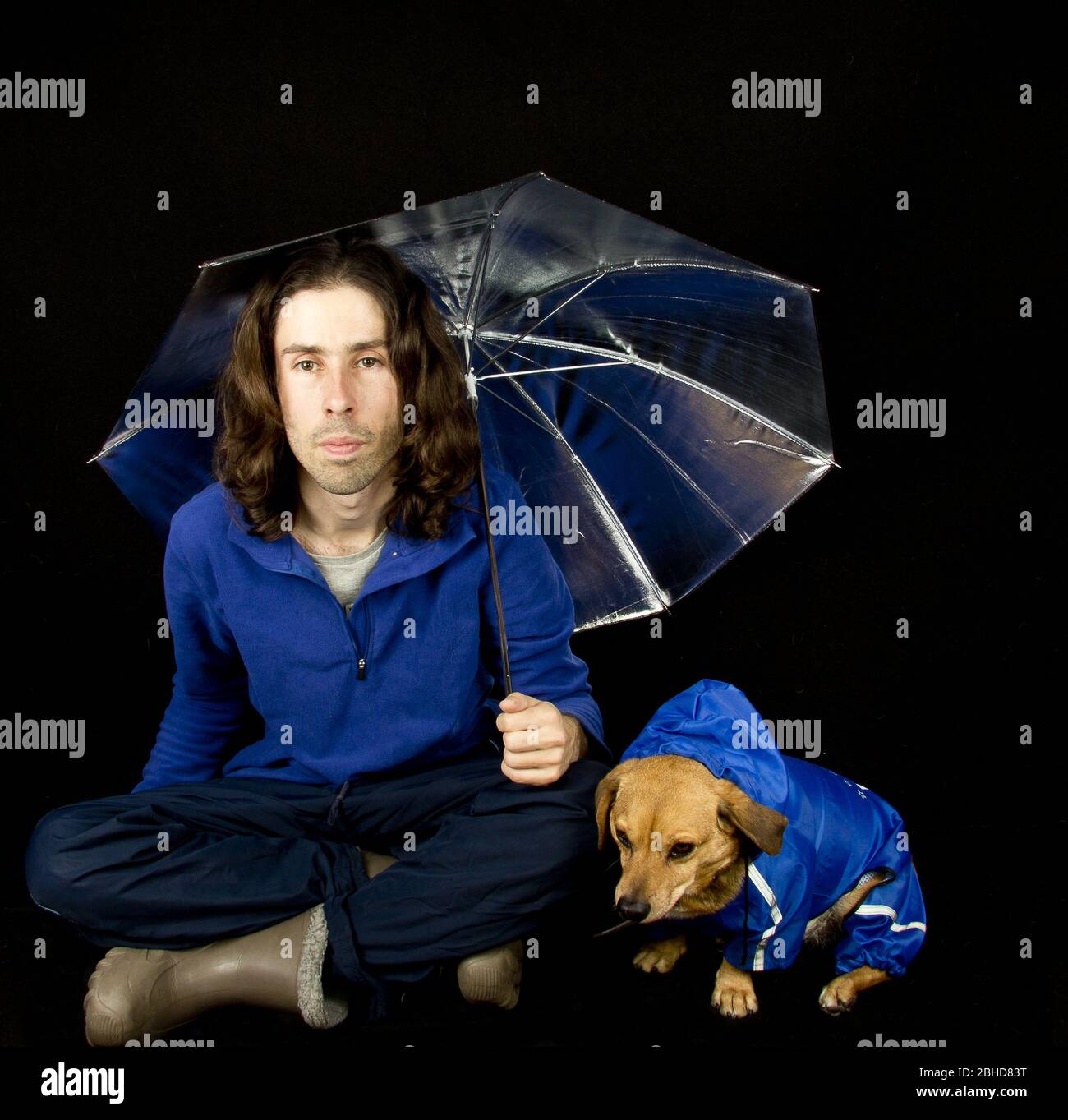 Cartoon dog vector hi-res stock photography and images - Alamy