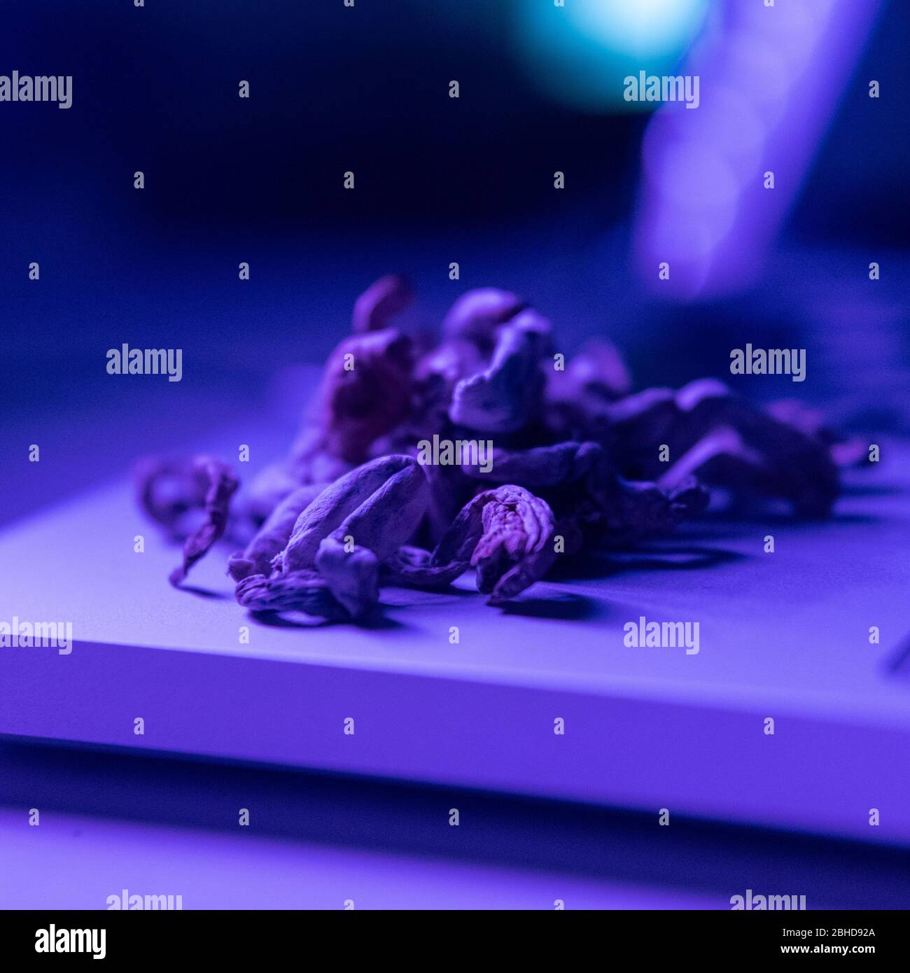 Biohacking background hi-res stock photography and images - Alamy