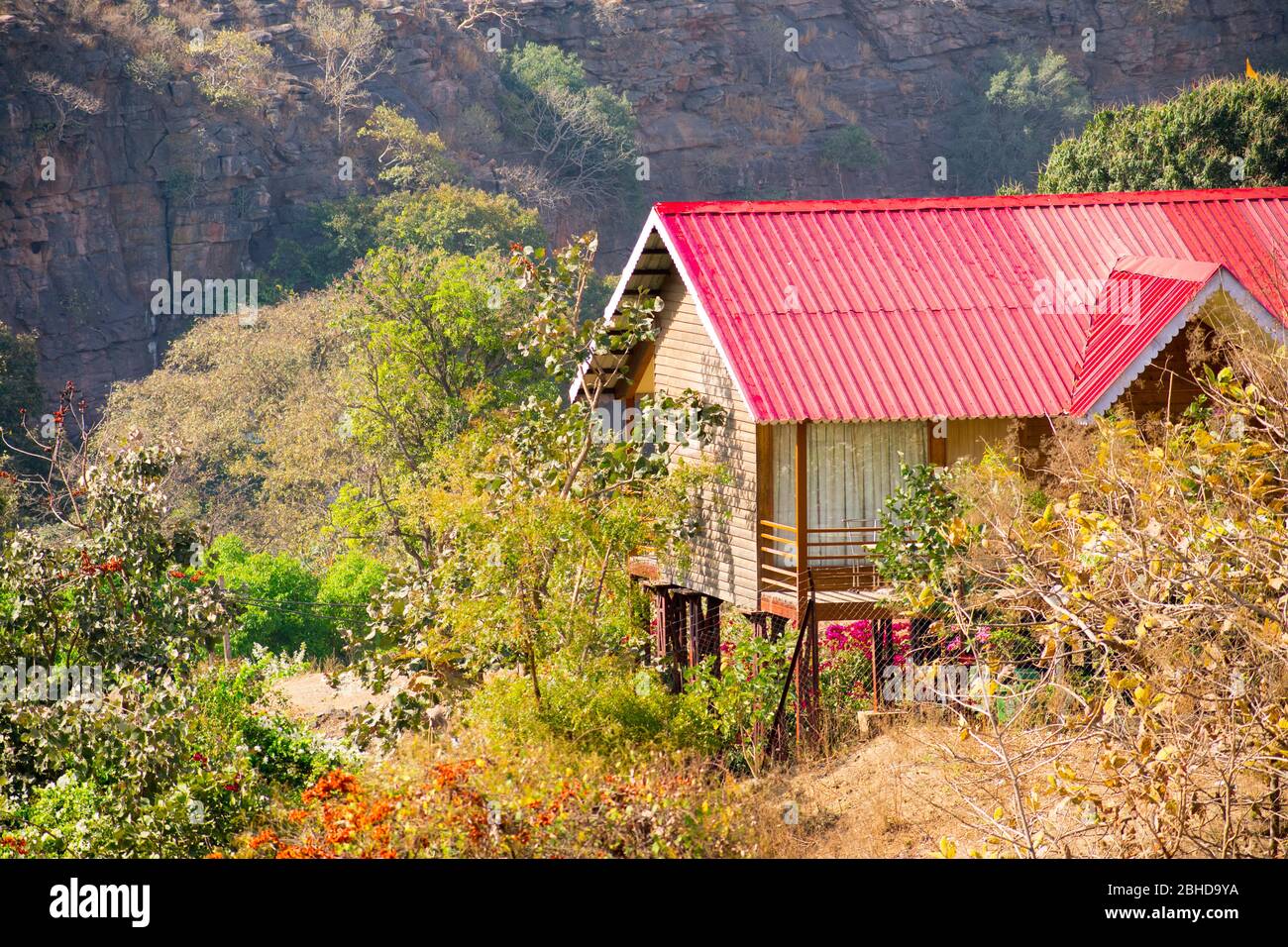 Red wood house at top of mountain bhopal india hi-res stock photography ...