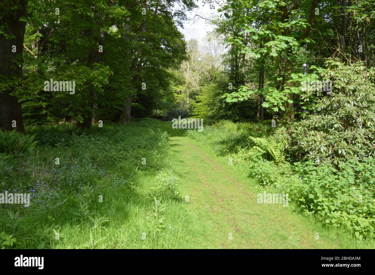 Scone palace and gardens hi-res stock photography and images - Alamy
