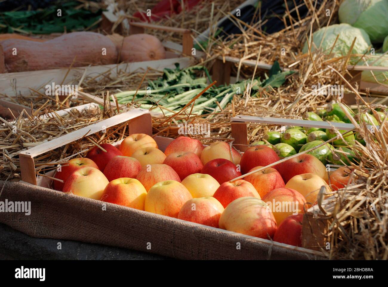 A box of red apples in the foreground of a display of locally grown ...