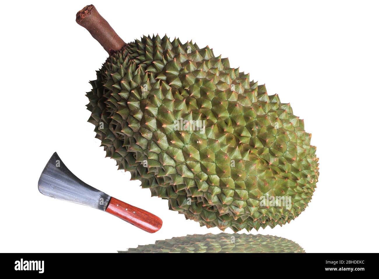 The popular Thailand of Durian The big ripe Chanee Durian and local ...