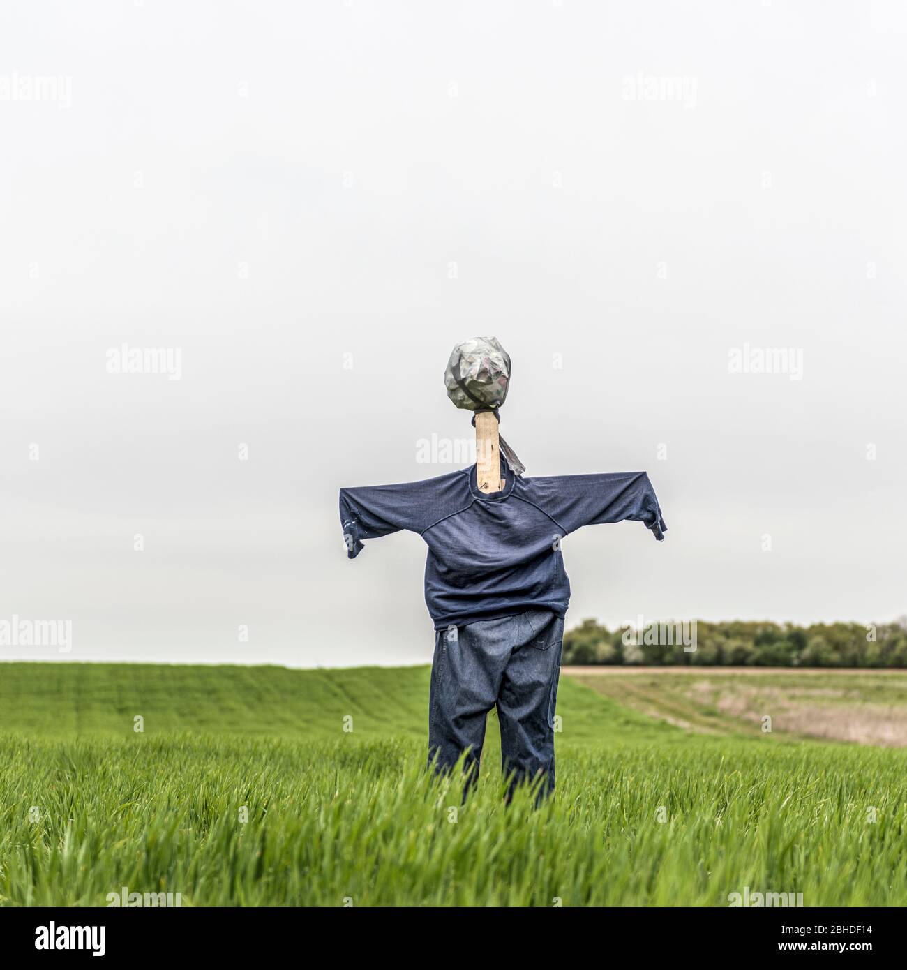 Scarecrows in a field hi-res stock photography and images - Alamy