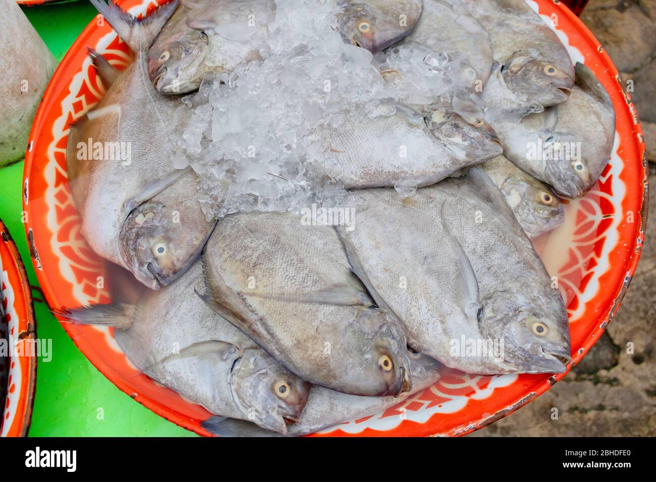 The fresh fish shop on the street with its vendor showing original Thai ...