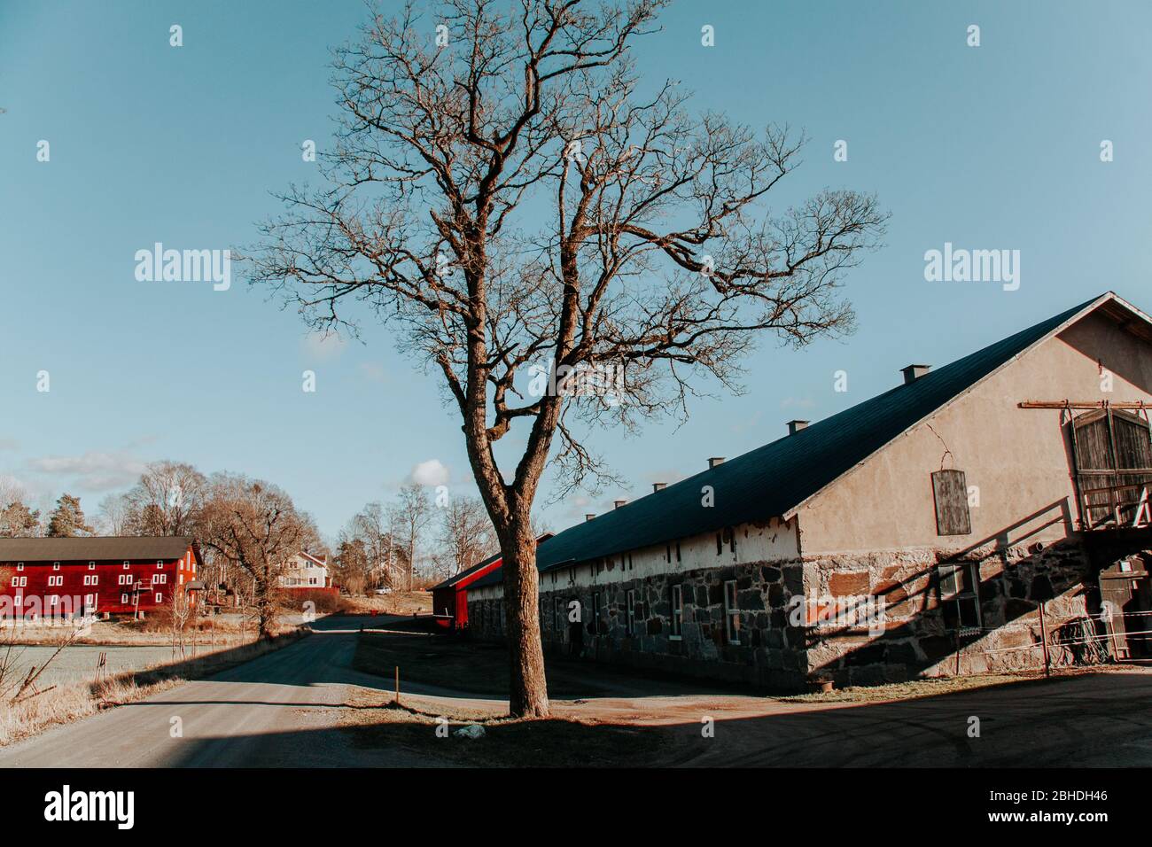 Tree farming sweden hi-res stock photography and images - Alamy