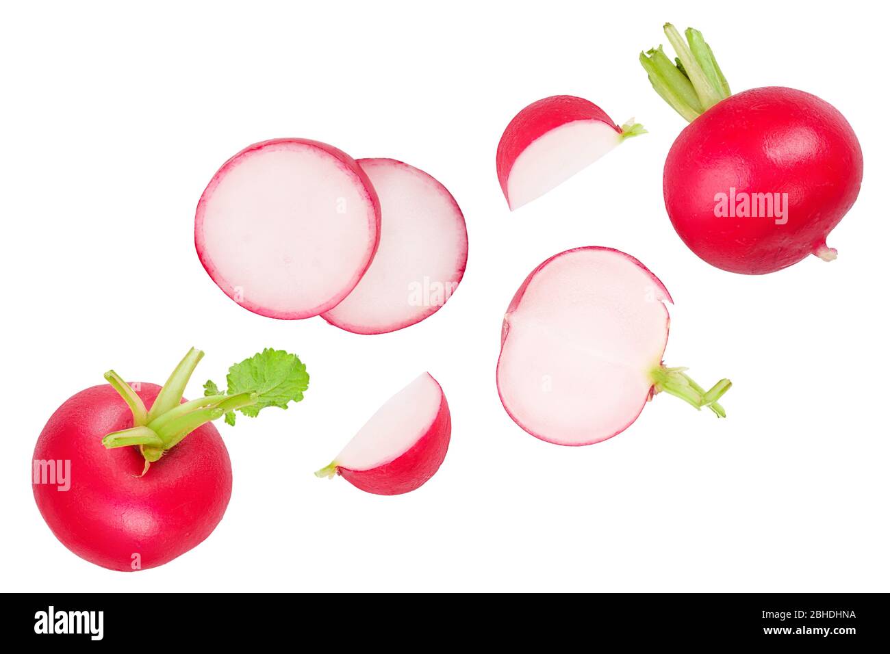 Set of fresh whole and sliced radish isolated on white background. Top ...