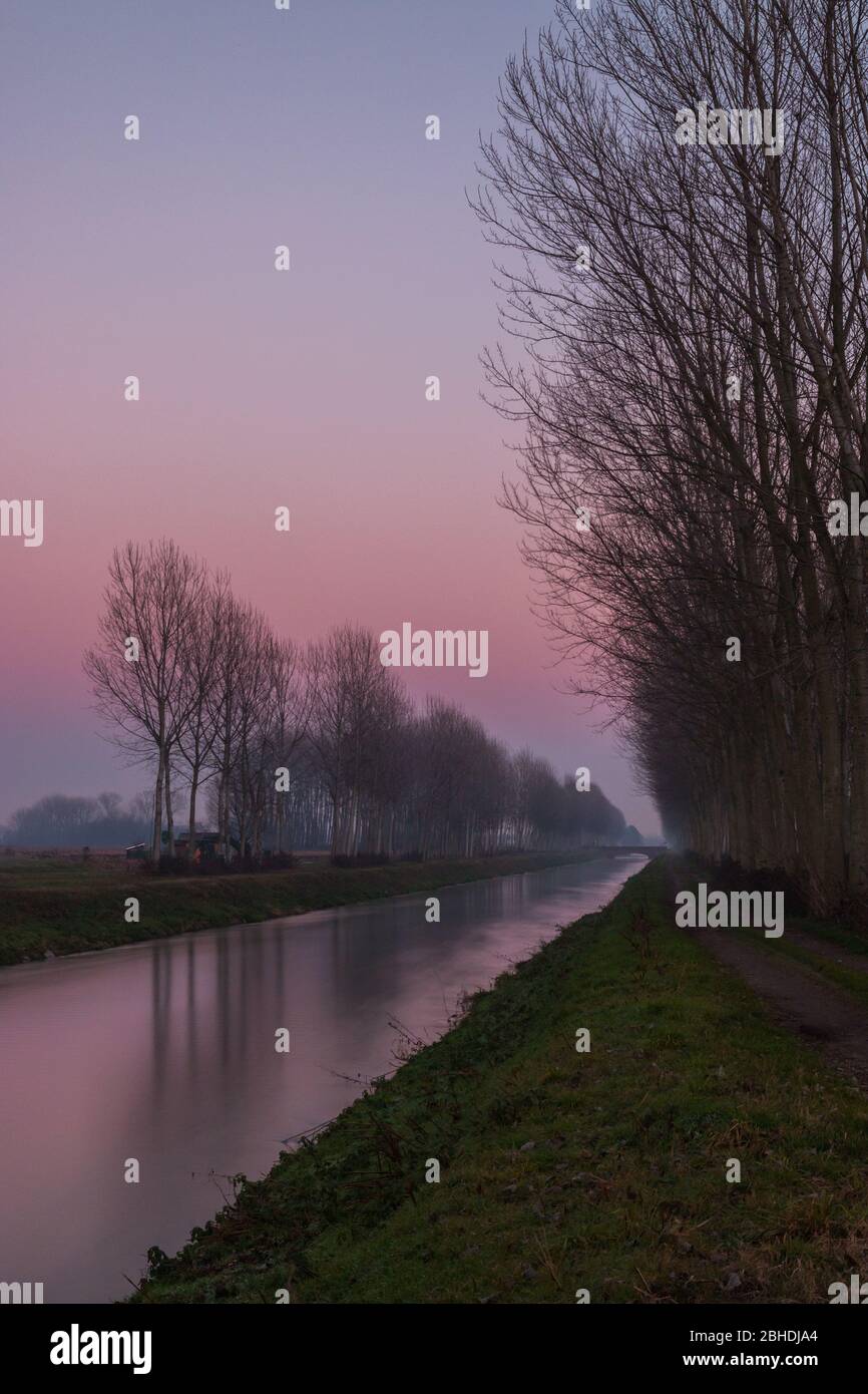 An winter day in the park of the Ticino, Galliate, Novara, Piedmont ...