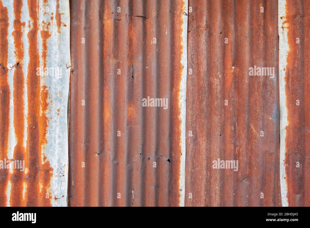 The damaged metal sheet roof by rust Stock Photo - Alamy