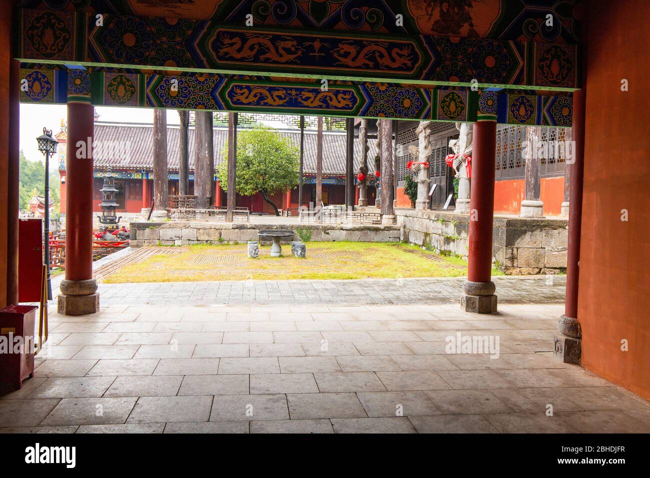Chinese blue bell tree hi-res stock photography and images - Alamy