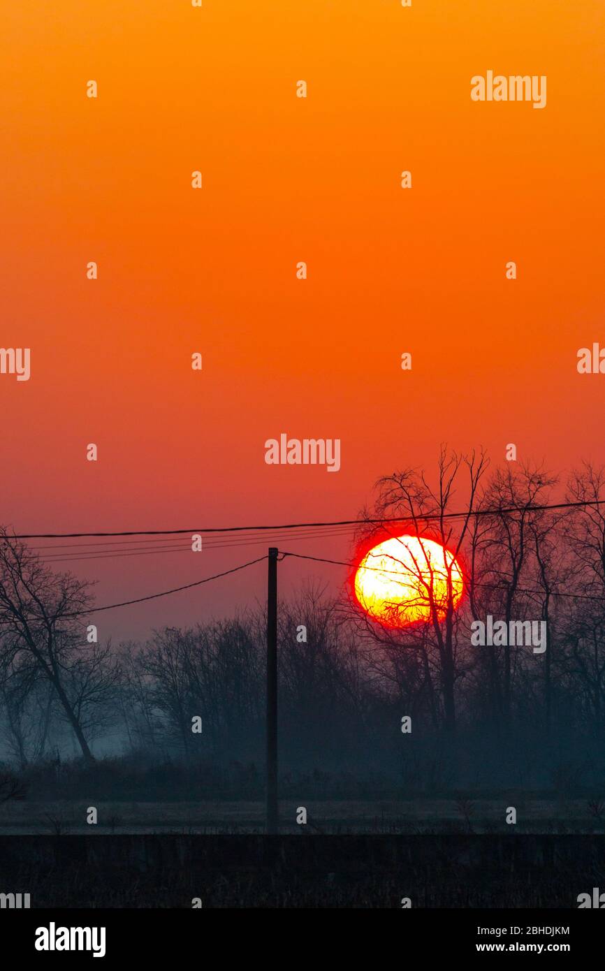 An winter day in the park of the Ticino, Galliate, Novara, Piedmont ...