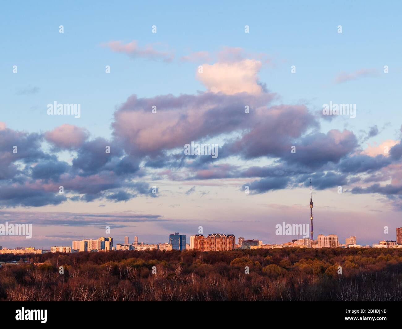dark pink and blue clouds over city park at spring dusk in Moscow city ...