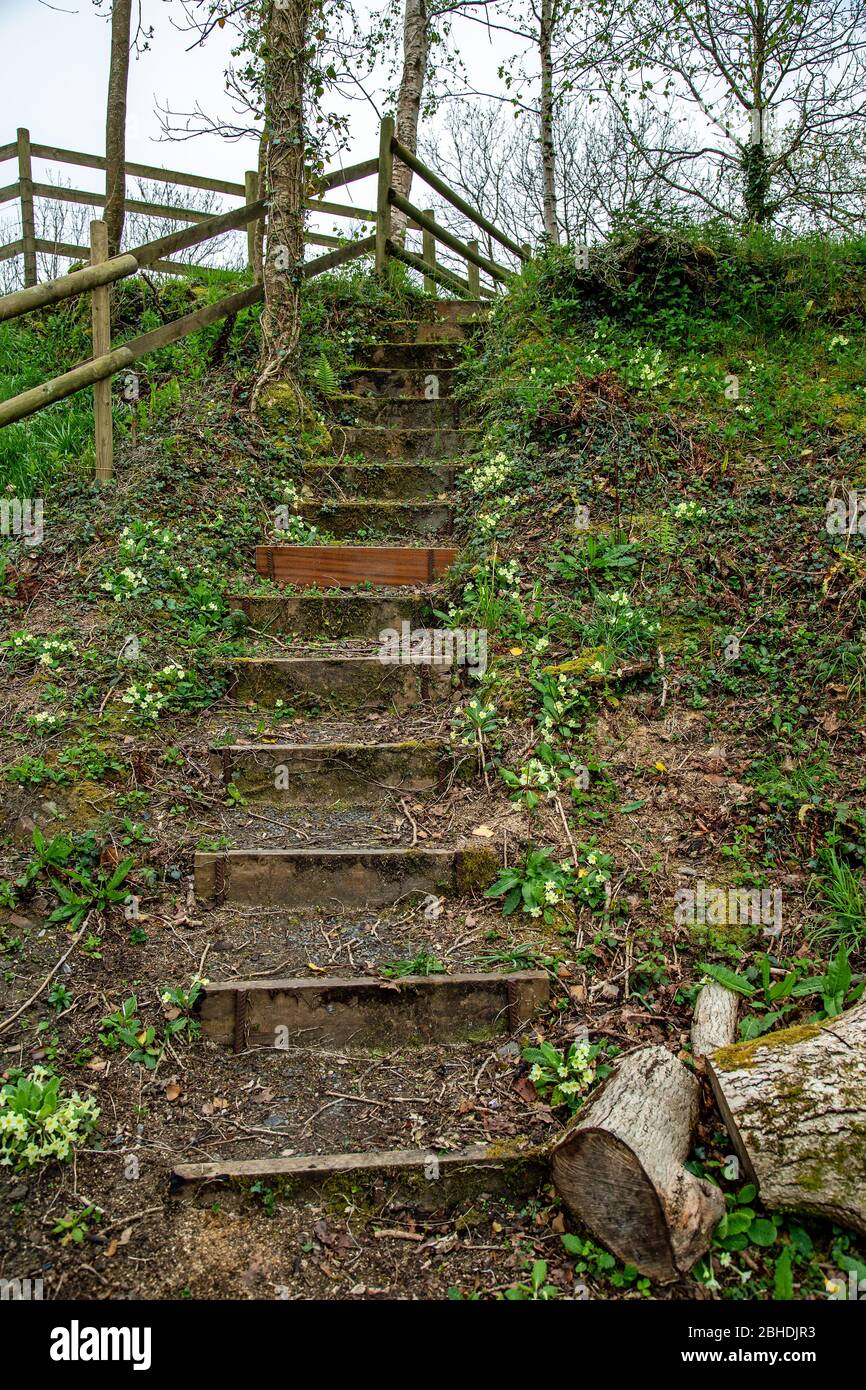 Steps up the bank Stock Photo - Alamy